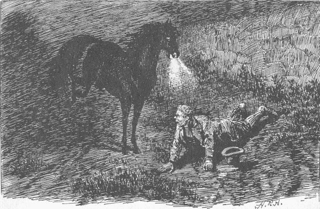 Irish Halloween Folklore….. Have you ever heard of a pooka? – irish ...