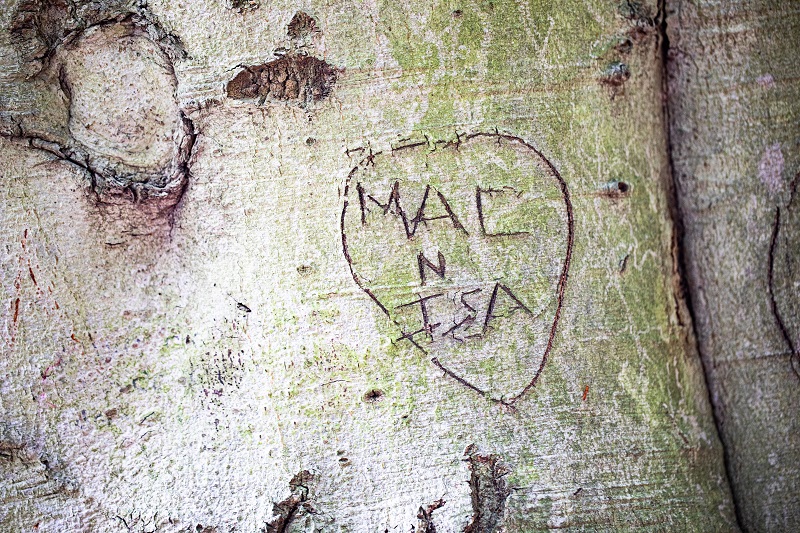 The Meaning of Mac and Mc in Irish Family Names and Their Origins ...