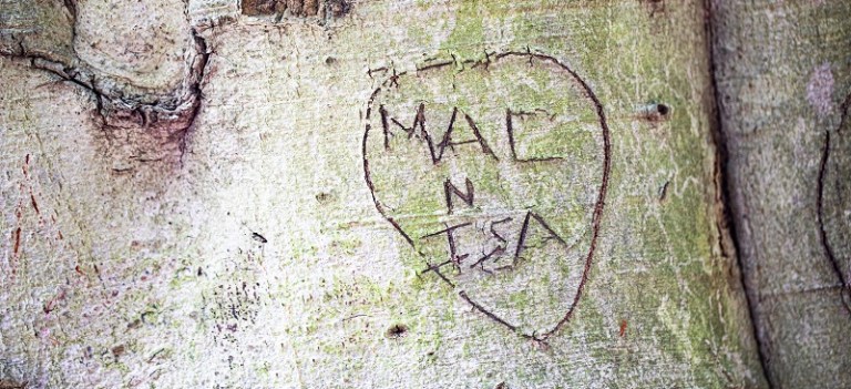 The Meaning of Mac and Mc in Irish Family Names and Their Origins ...